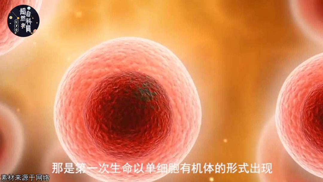 半分钟看完地球的生命进化史