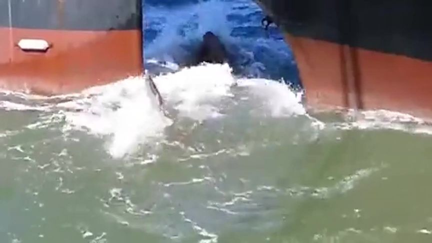 实测:轮船上的大型螺旋桨在水中旋转时!这马力是有多大?!