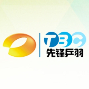 先锋乒羽 