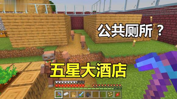 我的世界26:给村民建造五星大酒店,没想到最后建成了公共厕所