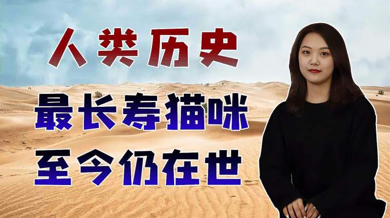 人类历史上最长寿的猫咪,打破吉尼斯世界纪录,现在仍然在世