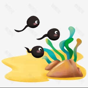 初中政治闪闪老师 