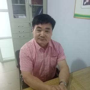 中医介中志 