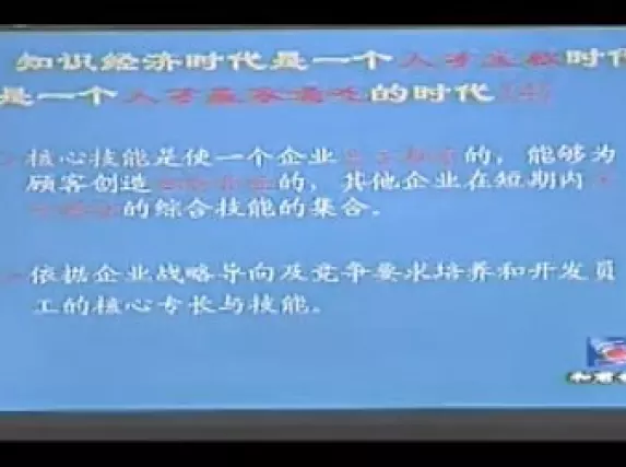 彭剑锋《人力资源管理实务全景案例课程》第8集,共16集
