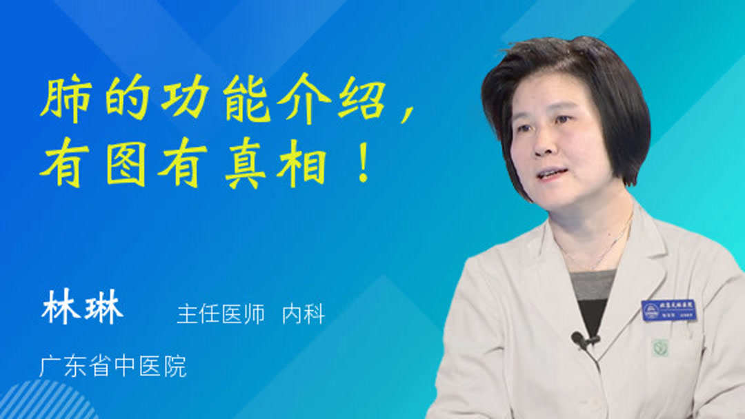 肺的功能介绍,有图有真相!