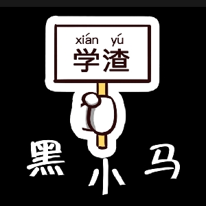 学渣黑小马 