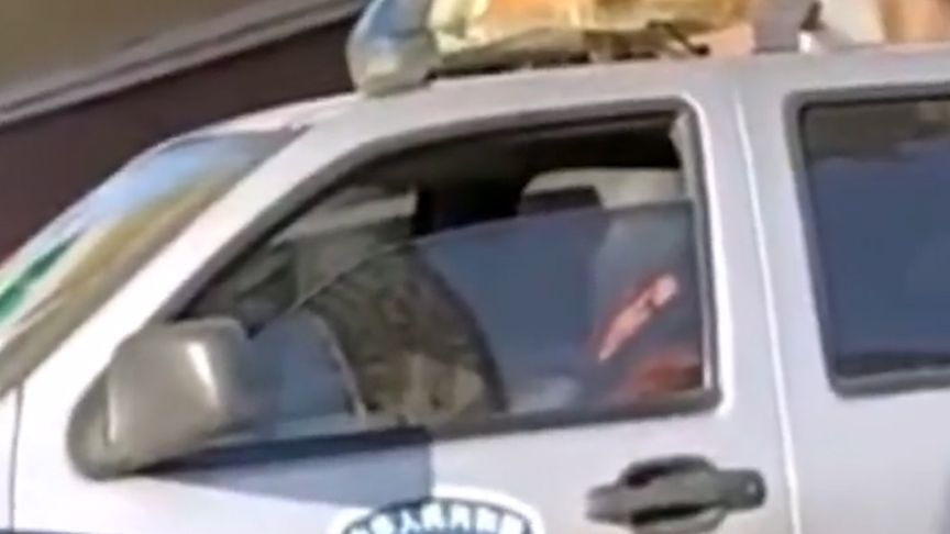 公主岭城管执法车随意占道停车,司机在车里呼呼大睡