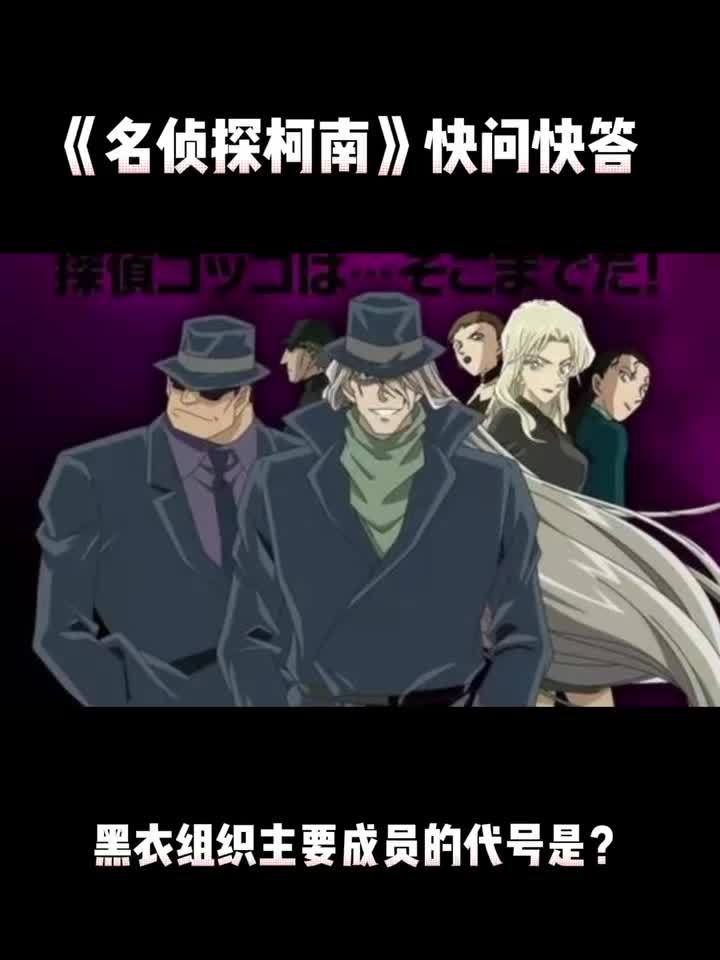 黑衣组织主要成员代号是?