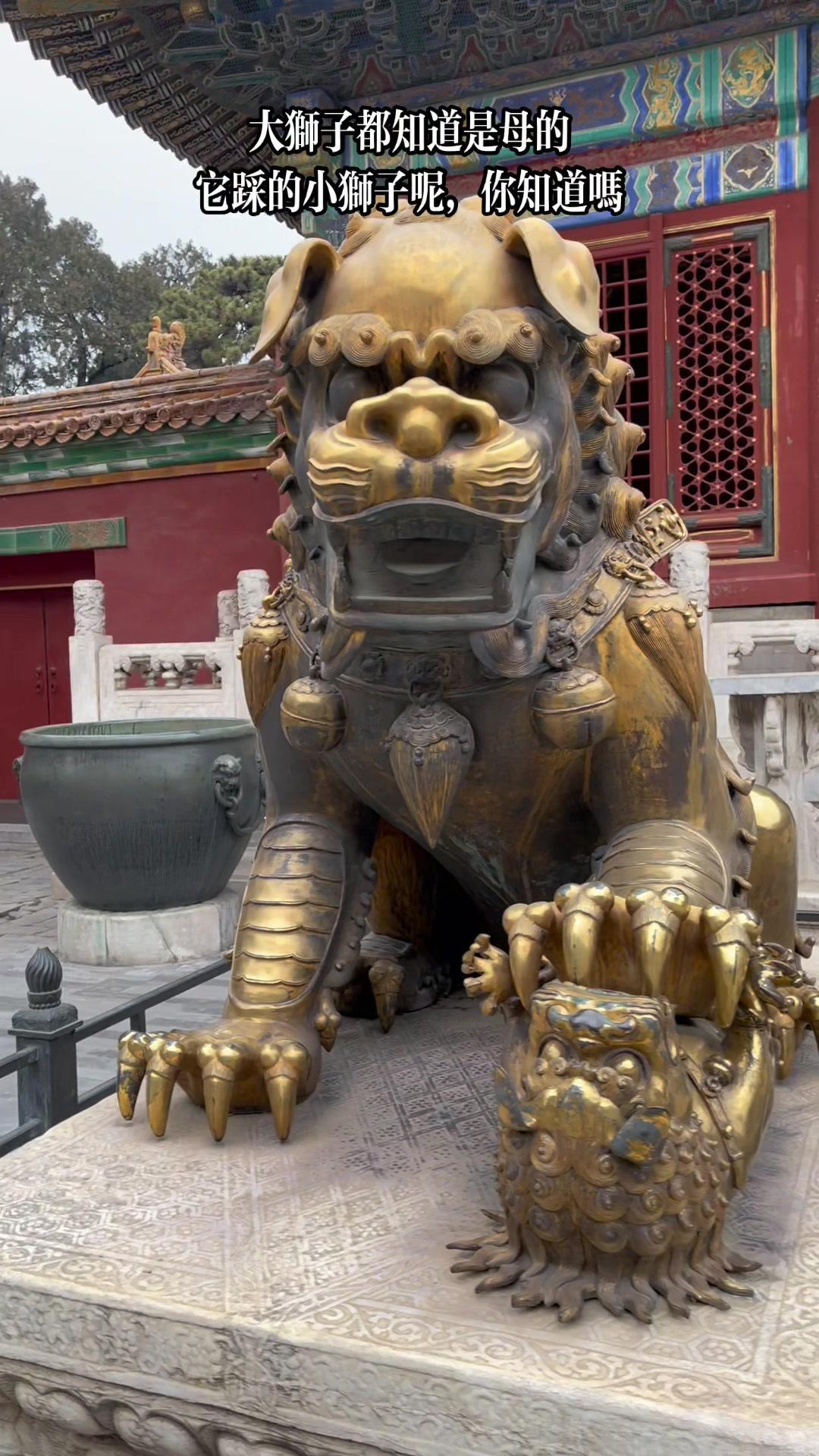 科普一下古建筑大门前的对狮,脚踏绣球的是雄狮,脚踩小狮子的是雌狮;...