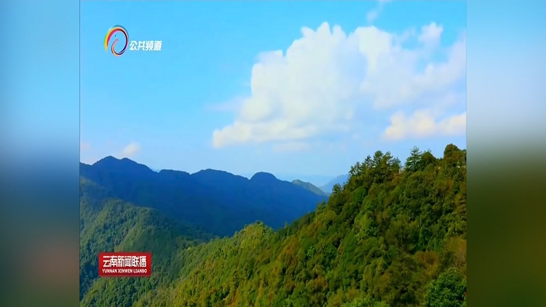 保山市筑牢高黎贡山生物生态安全屏障