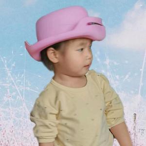 冬青的退休生活 