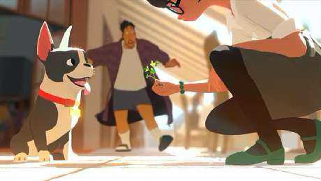 动画:流浪狗被好心人收养,小狗为报答主人,帮主人追回女朋友