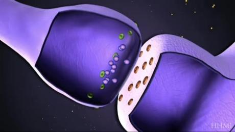 神经调节兴奋的传导和传递_腾讯视频