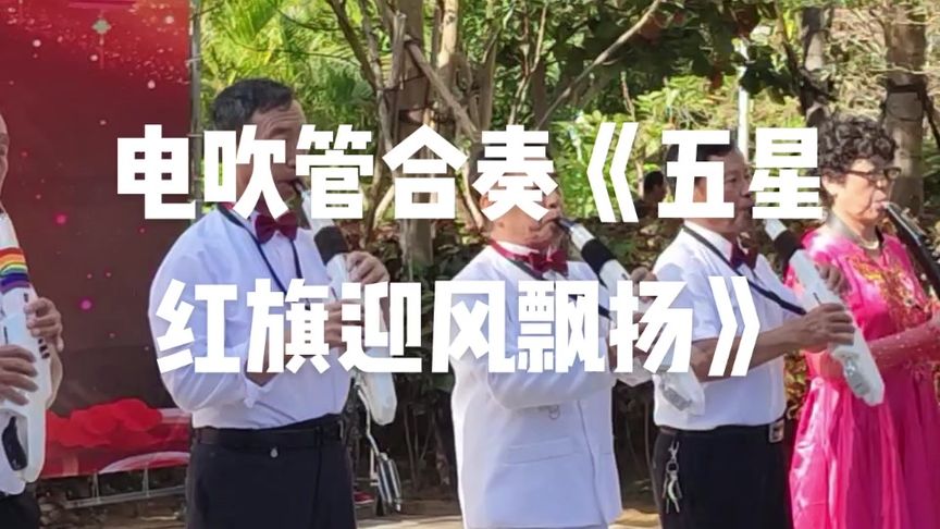 电吹管合奏《五星红旗迎风飘扬》演奏:东方市天源海景艺术团乐队