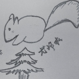 爱生活的小松鼠 