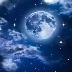 启明星视点 