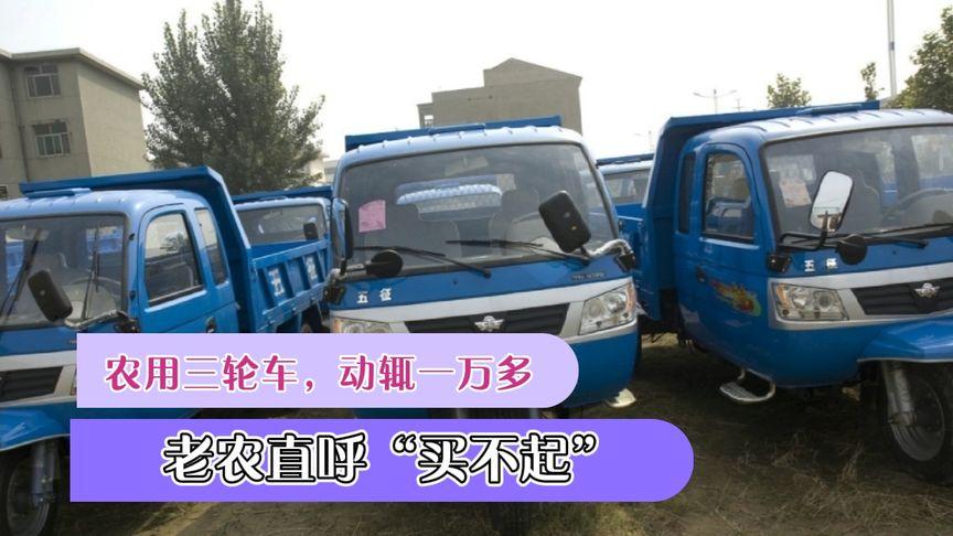 农用三轮车动辄一万多,老农直呼“买不起”