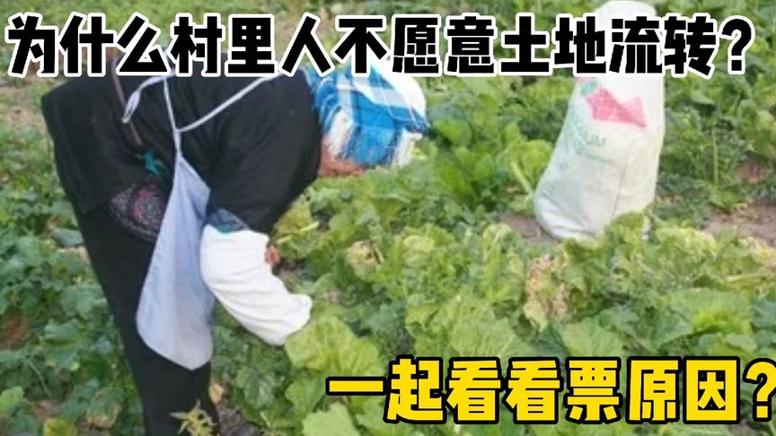 土地流转是农村的趋势么?为啥村里人不愿意流转土地?