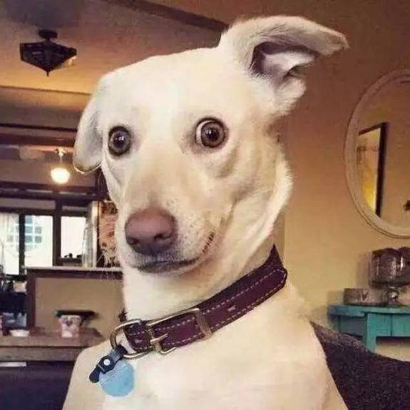 给我一个创造奇迹 