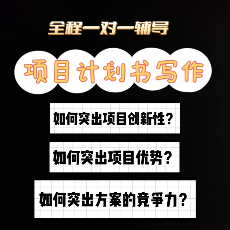项目计划书写的头大?找我们!