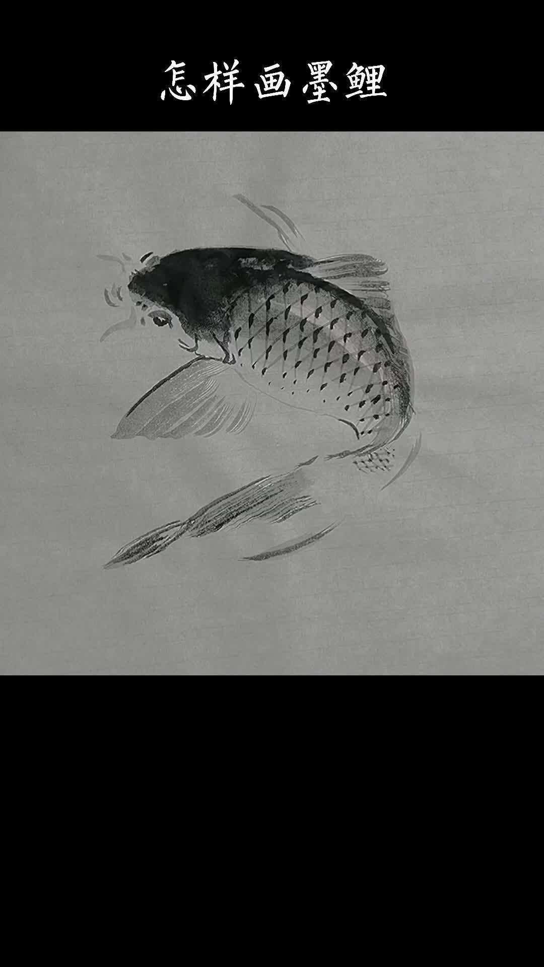 这下知道怎样画墨鲤了吧!