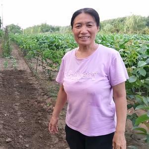 坡姐的感恩生活 