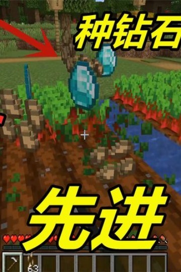 我的世界:不挖钻石,改种钻石了?
