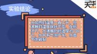《科学探究》教科版三年级上册第一单元 2课《水沸腾了》实验探究