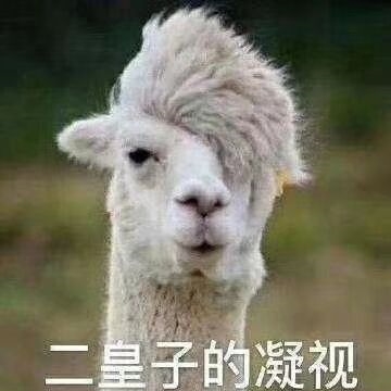 想着神里的孩子 
