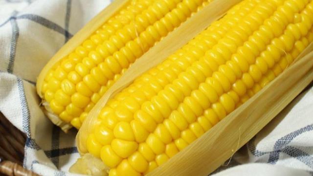 黄豆加一宝,效果好过"暖宫王",常服用活血暖宫,排出体内毒素