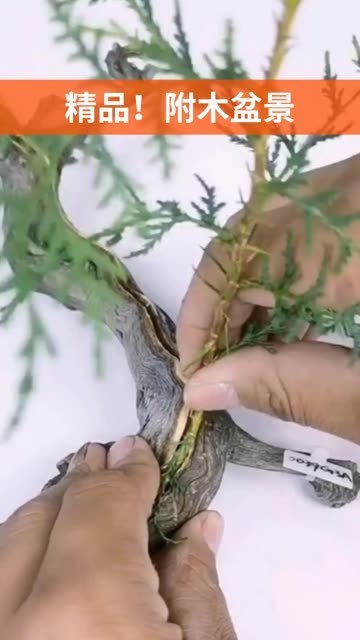 实木相框,温润质感,家的记忆,永恒定格