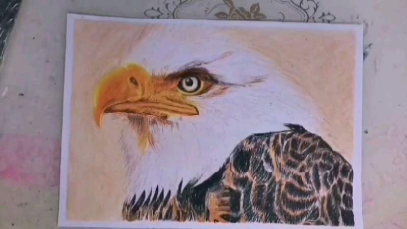 （油画棒教程）教你如何用油画棒画一只鹰，你也来试试吧