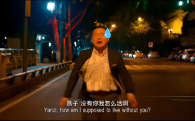 燕子没有你我可怎么活啊,但是是自己配音(反正也没人看不怕被熟人...