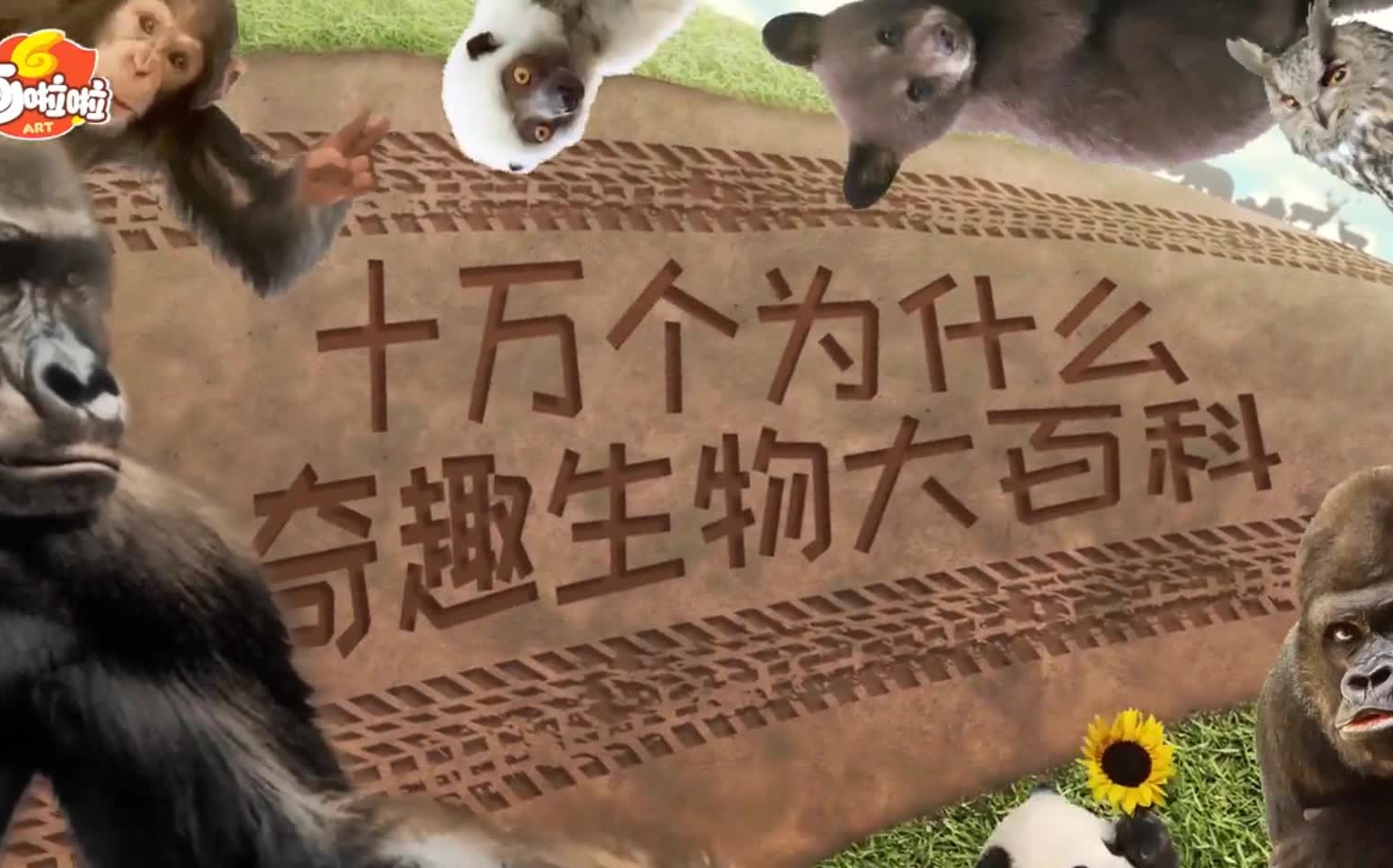 小灯塔--【奇妙生物大百科】 视频音频免费分享