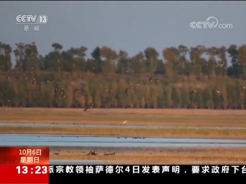 [新闻直播间]中央气象台 冷空气影响今天基本结束
