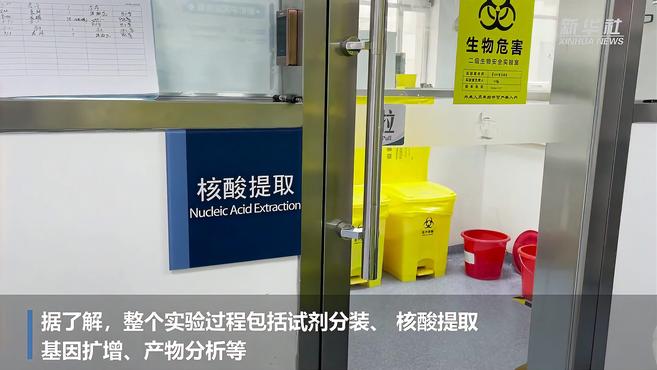 捅过你的棉签都去哪儿了?记者带你探访核酸检测实验室