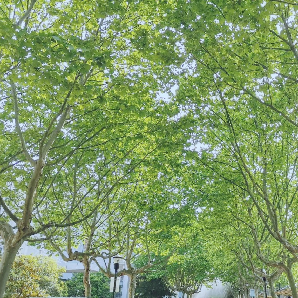 小米粥的数学课堂 