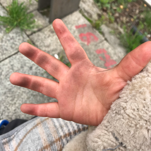 山楂陈皮加水 