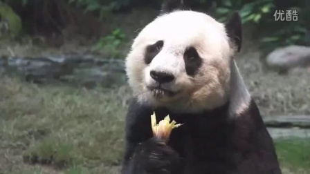 华硕品牌宣传片_超清
