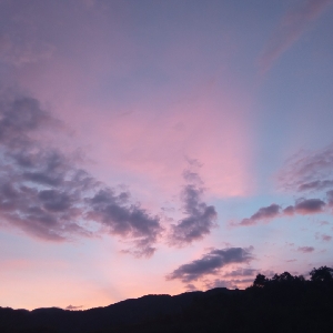 肉肉爱吃土豆肉 