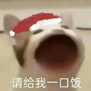 陈菜鸡哎 