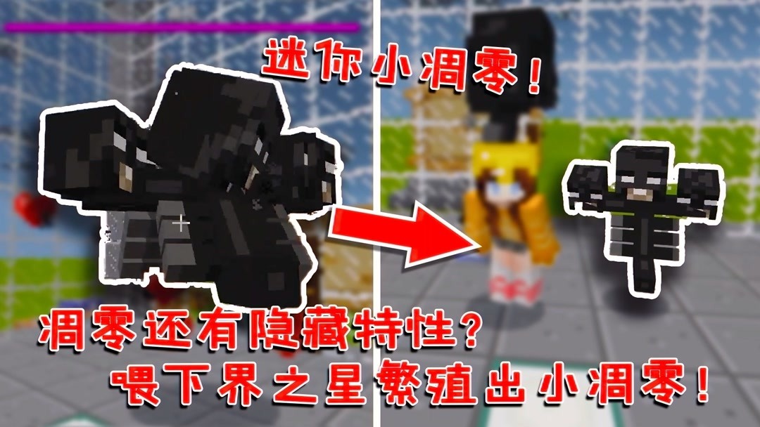 我的世界：凋零还有隐藏特性？喂食下界之星能繁殖出迷你小凋零！