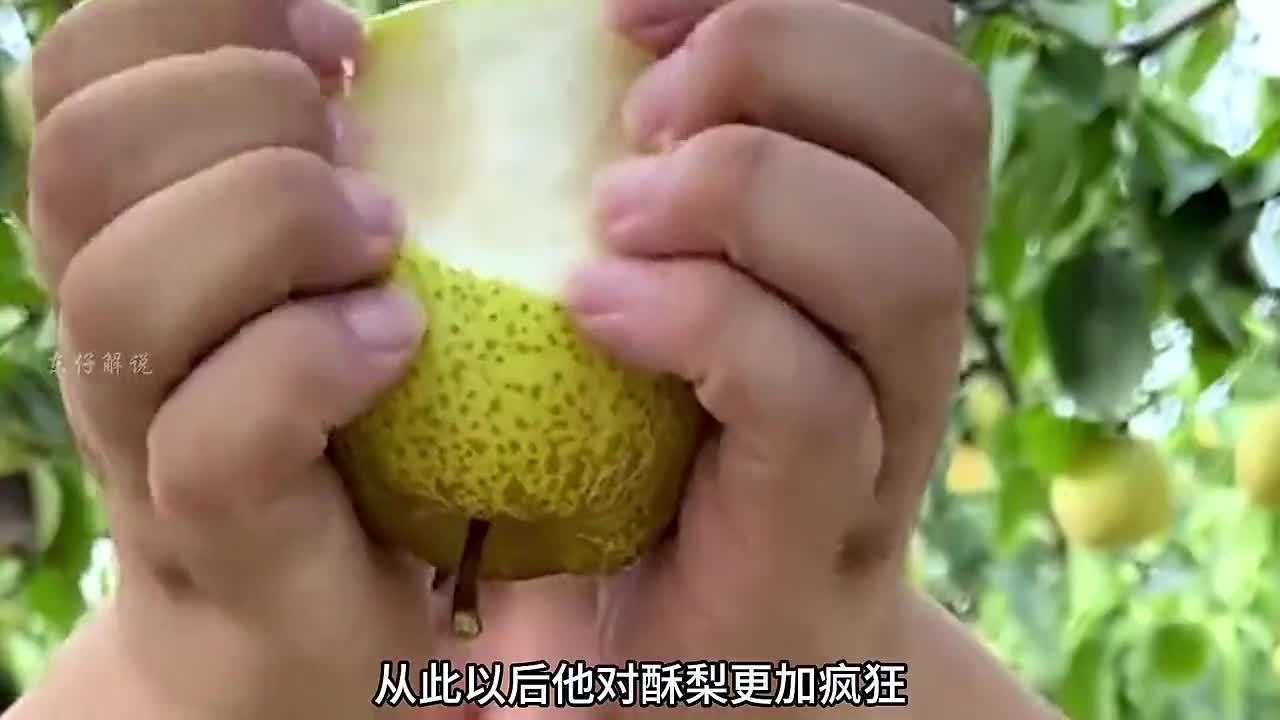 冰糖烤梨香甜四溢#美食