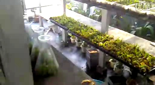 组培实验室 懂得人应该会震惊
