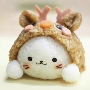 饭团胖胖 