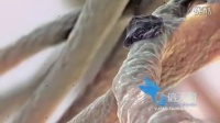 2056三维微观细胞分子动画微生物病原体病毒细菌演变原理