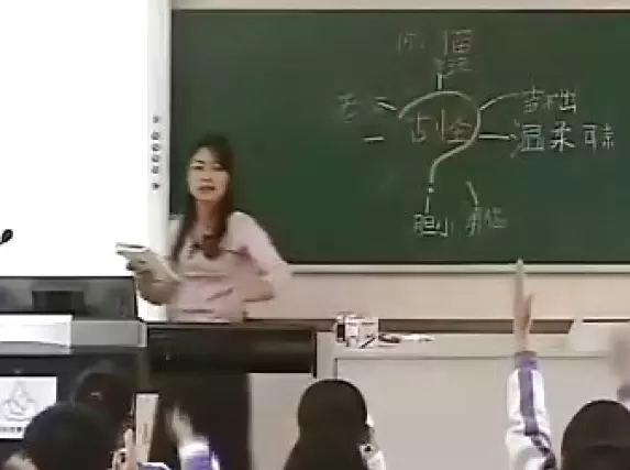 猫 罗湖区笋岗小学_小学四年级语文优质课实录