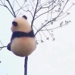 辣椒不加糖 