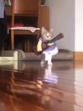 最新模特猫步走法