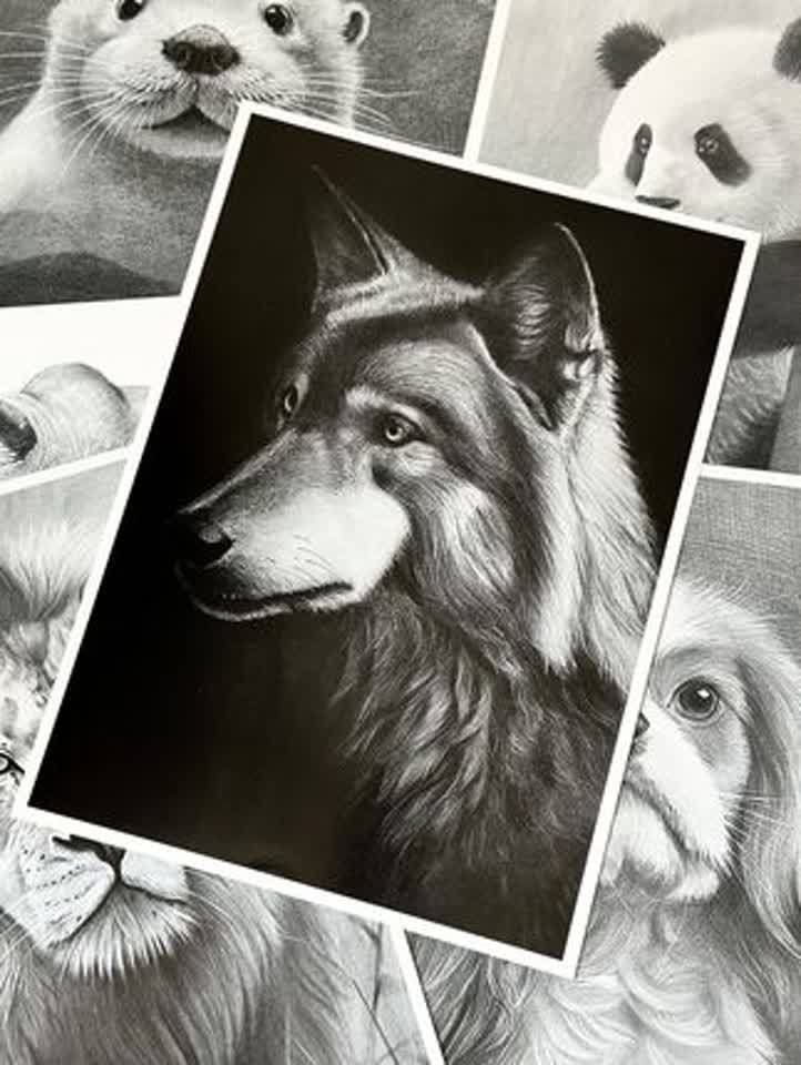 ...精微素描临摹卡,A4大小32张, 每一张都细致地描绘了一种常见的动物,...